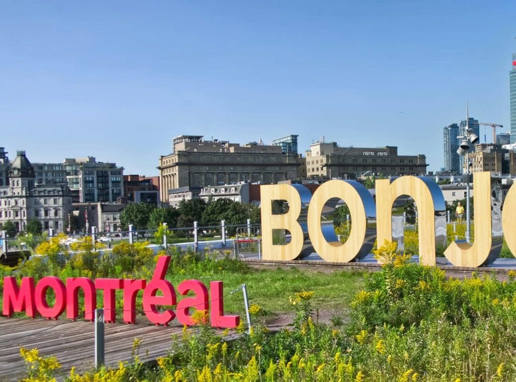 Form MN1 Guide (8 Steps) | Register A Child As A British Citizen